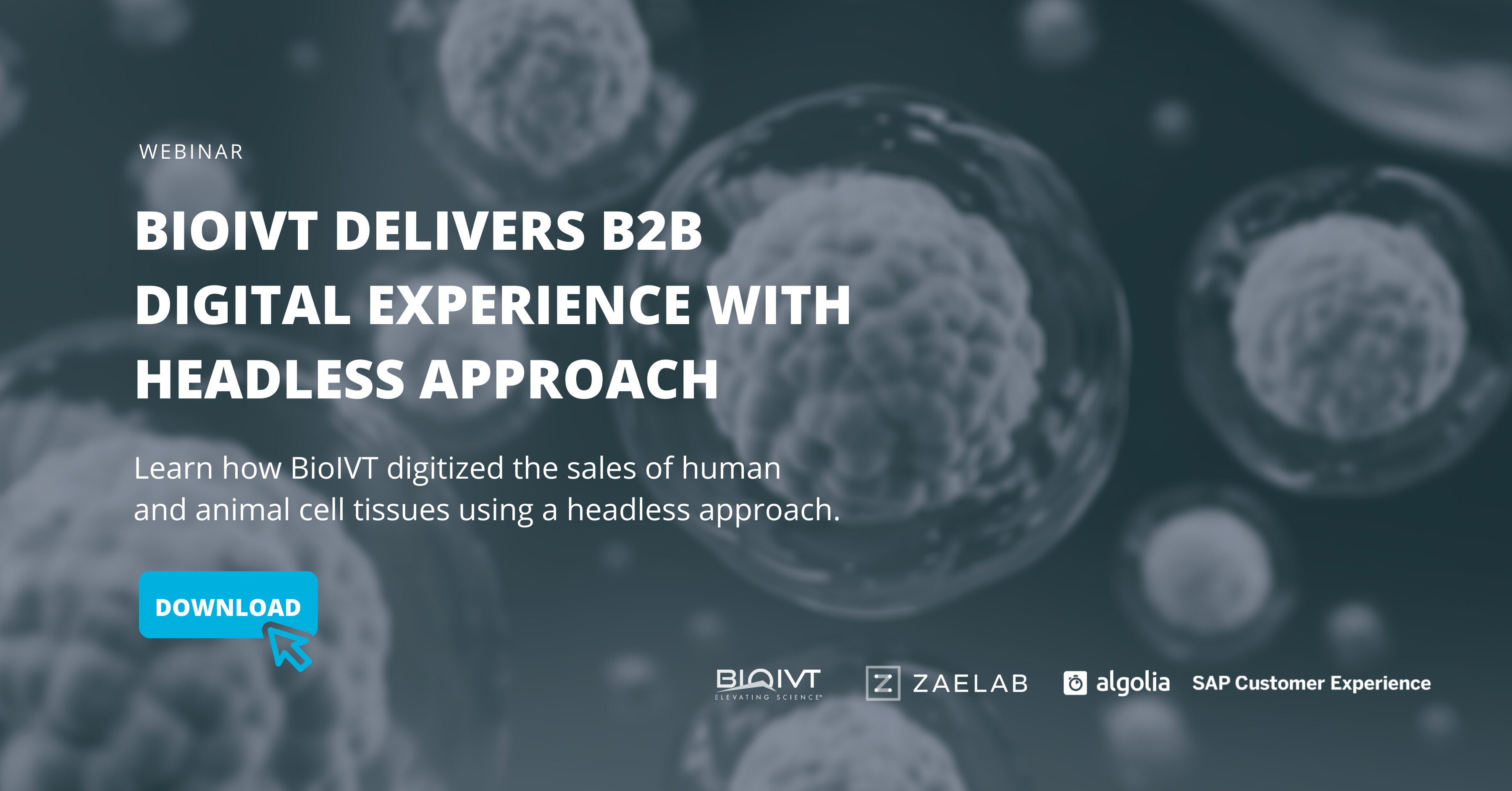 BioIVT Delivers Headless B2B Digital Experience | Zaelab